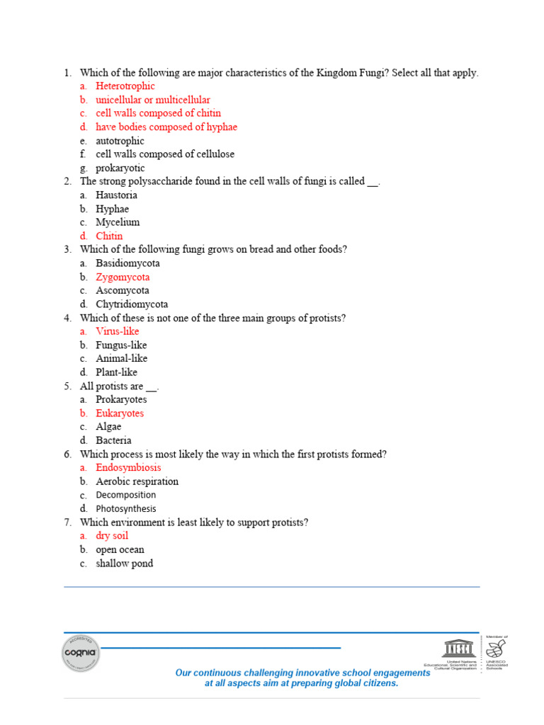 Grade 1 Revision Questions | PDF | Fungus | Protozoa