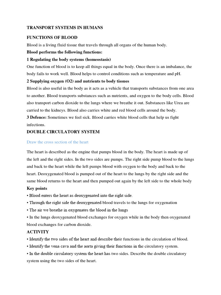 Transport Systems in Humans | Download Free PDF | Vein | Artery