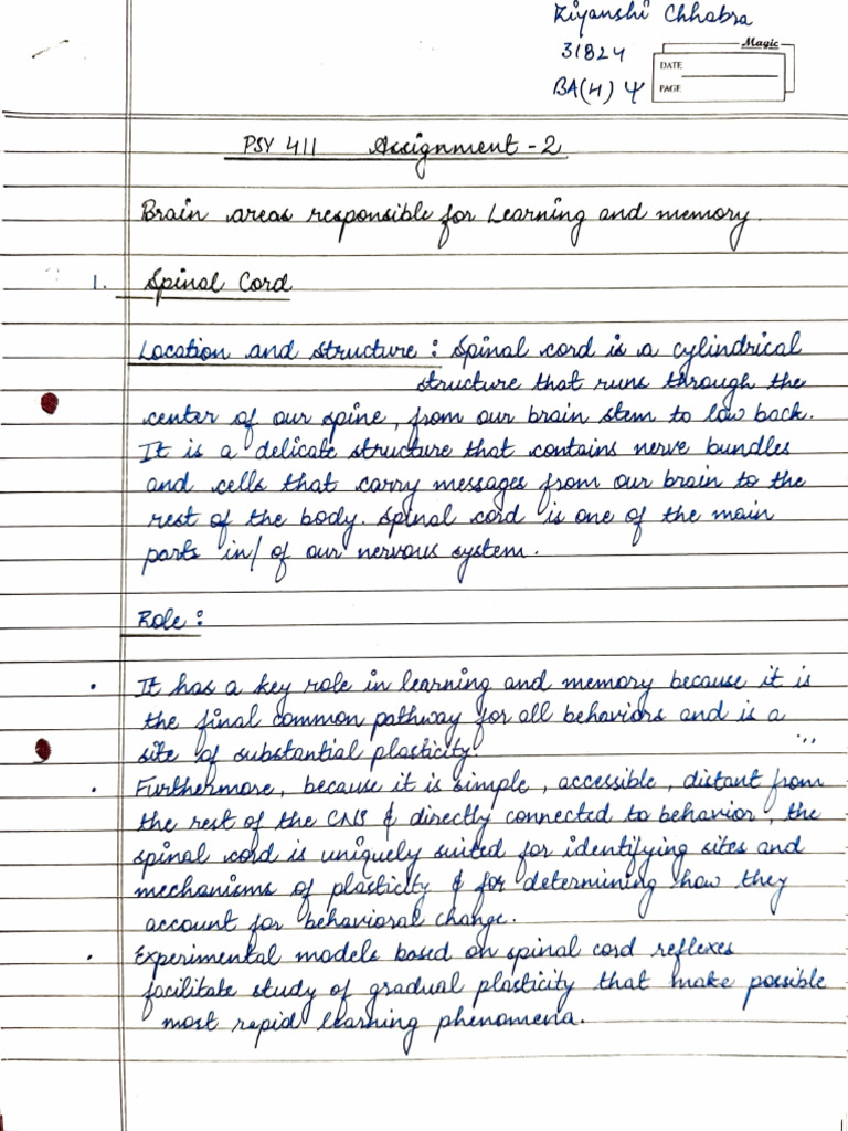 Overview of Brain Structures and Functions | PDF