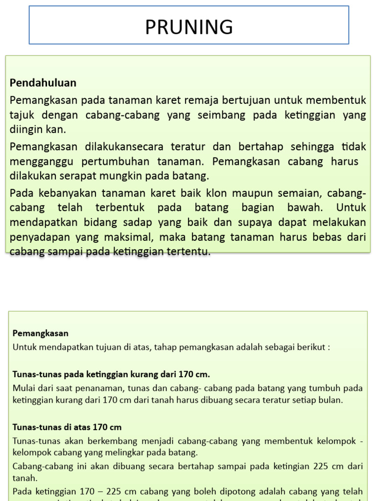 Pruning | PDF