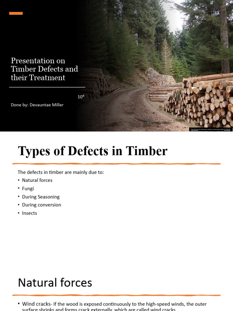 Natural Forces Causing Timber Defects | PDF | Wood | Lumber