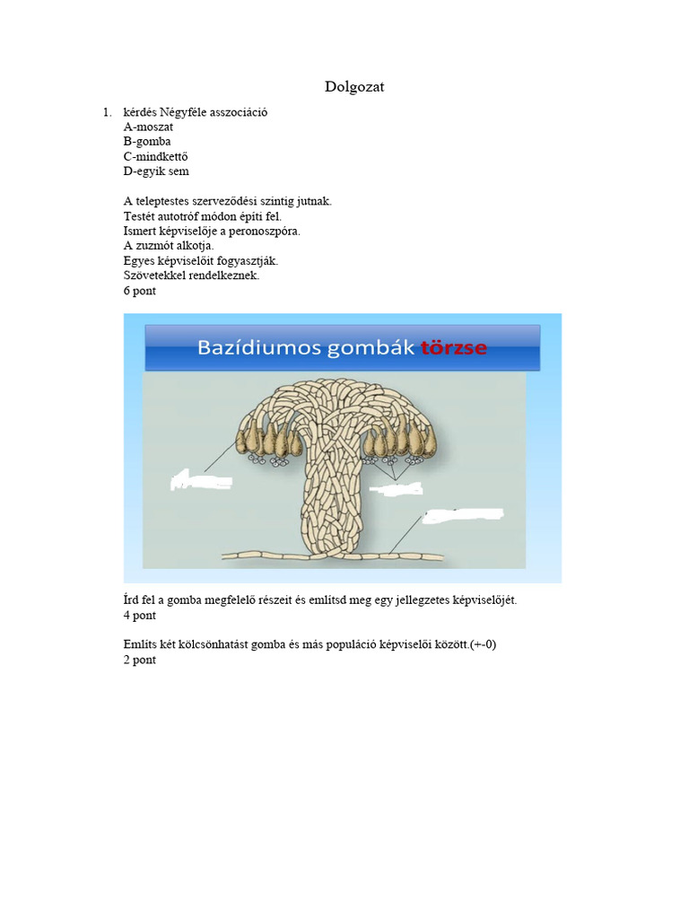 Növény-Gomba Kisdolgozat | PDF