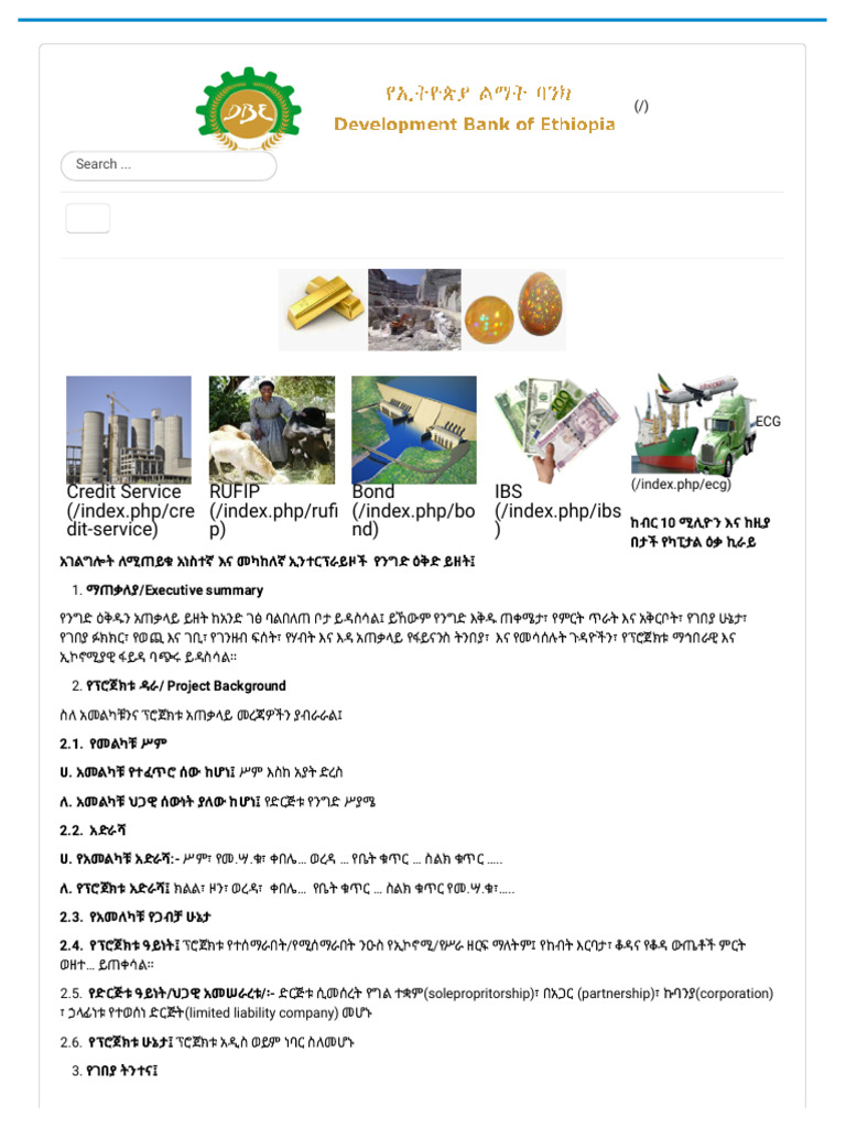 Business Plan Content Below 10 Million | PDF