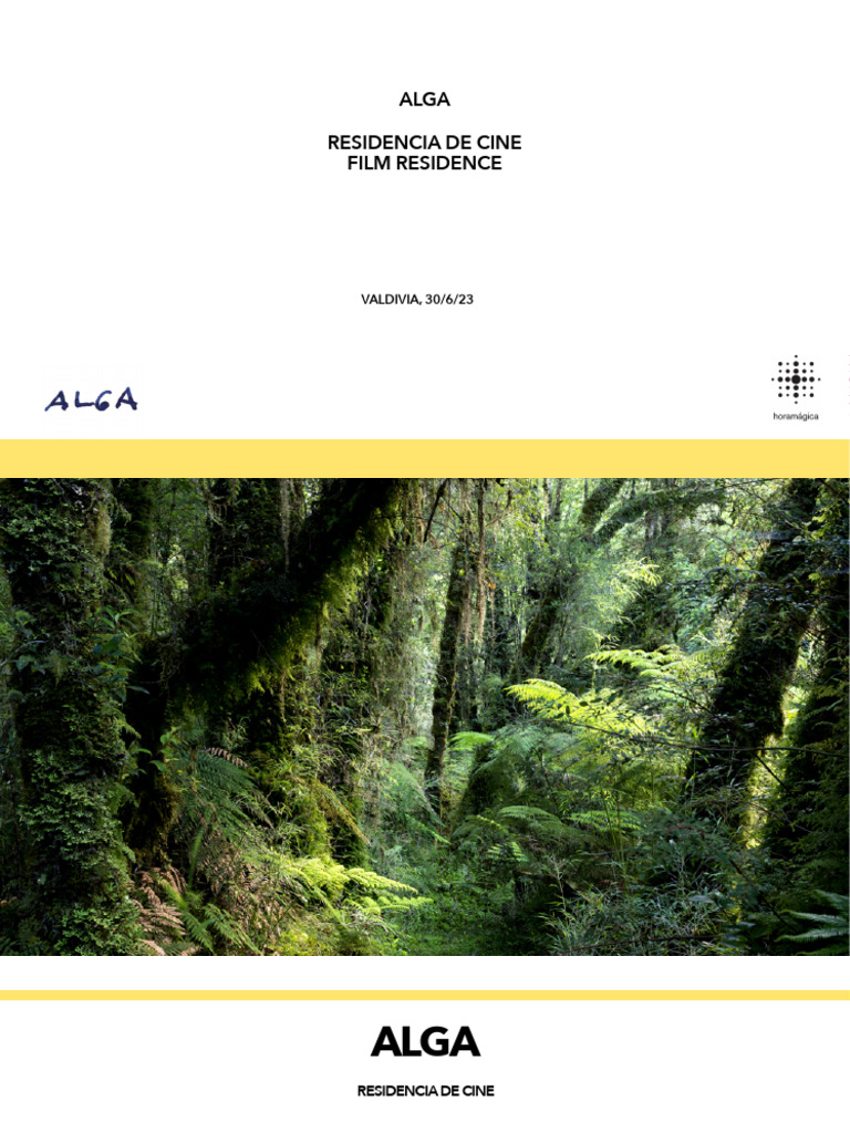 Alga Cine v2 | PDF