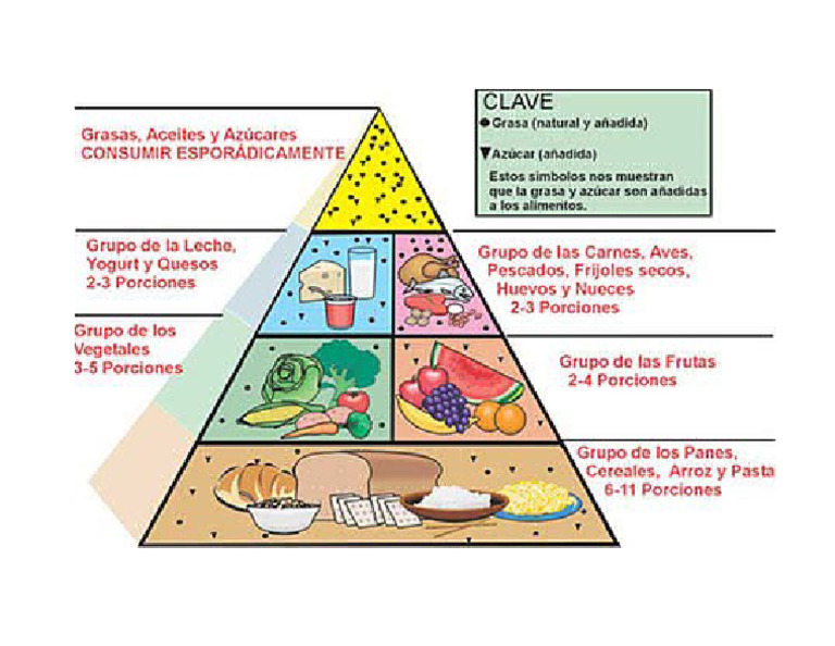 Alimentos Saludables | PDF