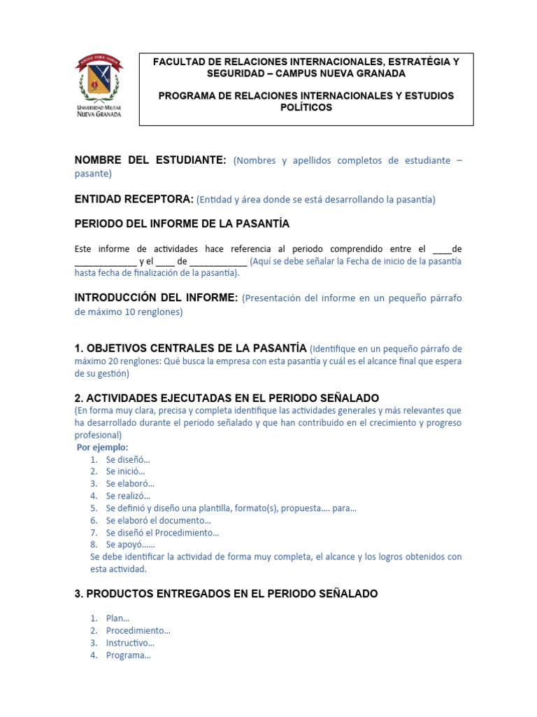 Informe de Pasantía Profesional | PDF | Diseño