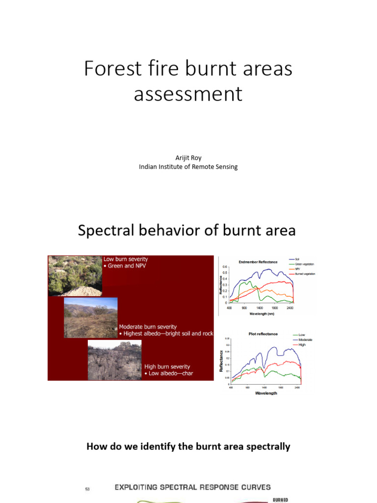 MOOC - GEE - Forest Fire Burnt Areas Assessment | Download Free PDF ...