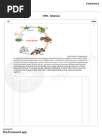 Interdisciplinary Project Class Ix | PDF