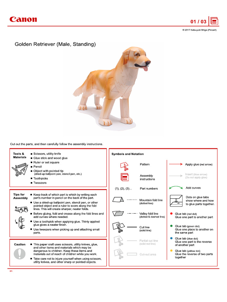 Instruction Golden Retriever | PDF