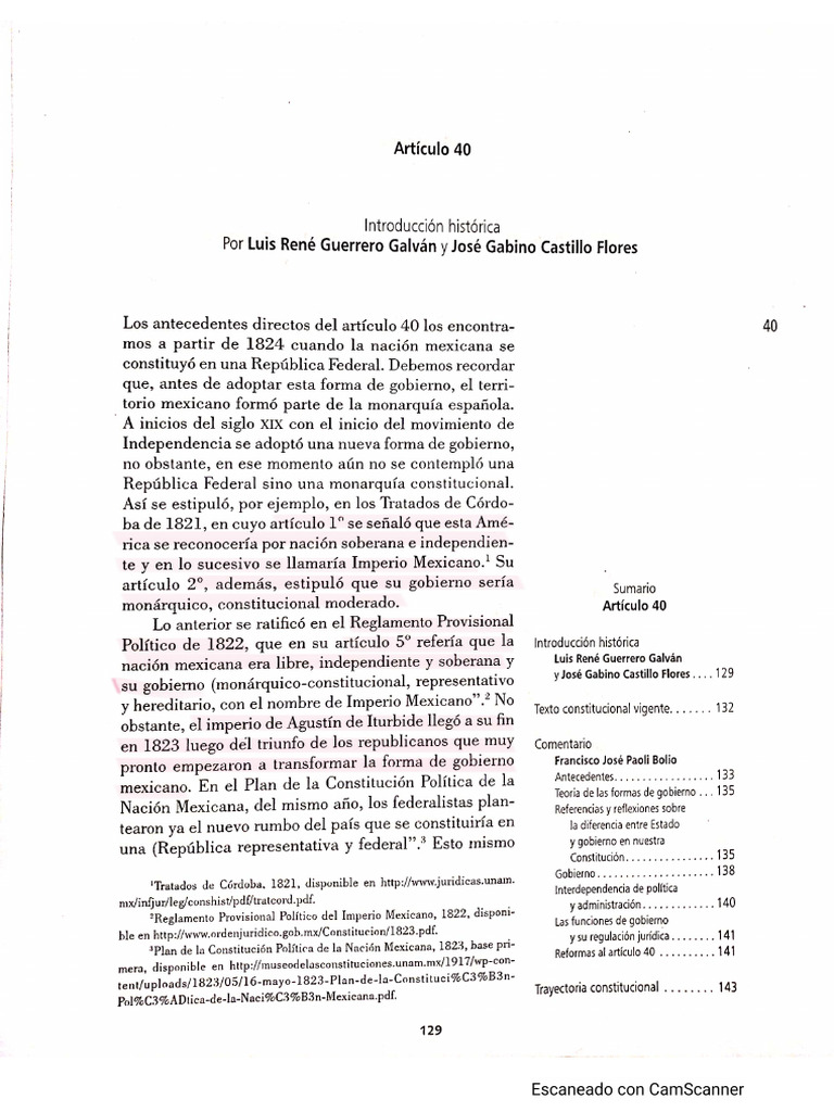 Articulo 40 | PDF