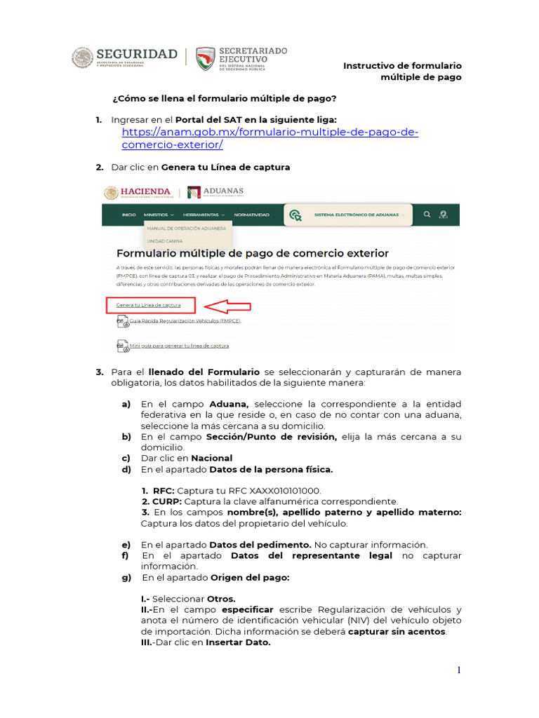 Instructivo de Formato Multiple de Pago SAT | PDF