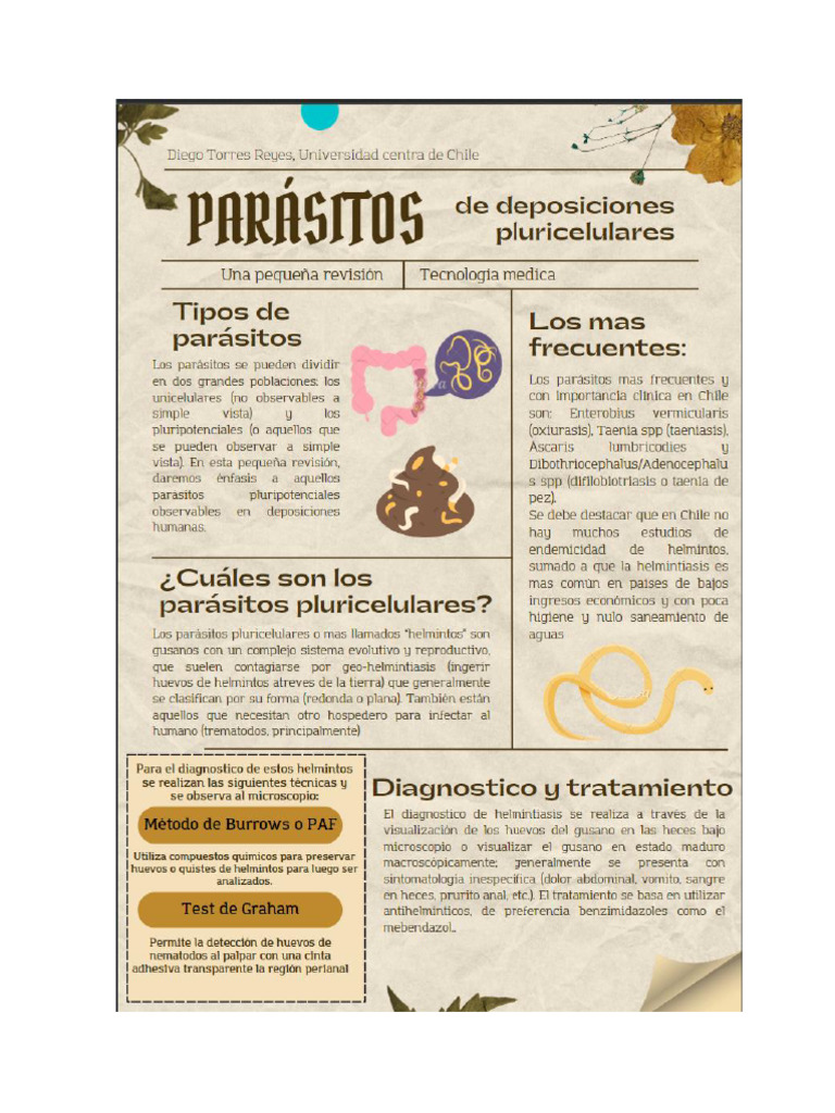 Parásitos Pluricelulares de Deposiciones - 1 | PDF