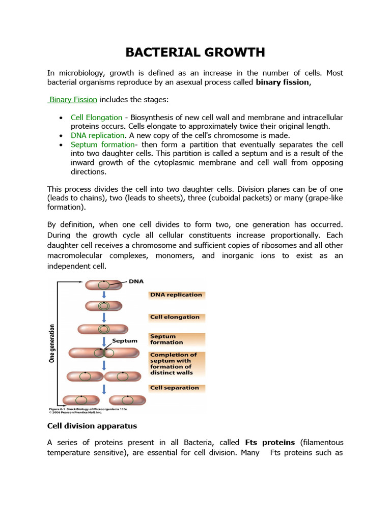 Bacterial Growth and Growth Curve | PDF | Bacteria | Cell (Biology)