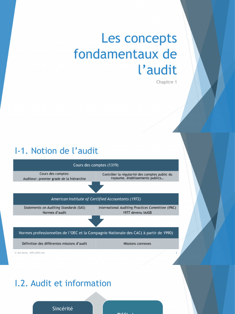Les concepts fondamentaux de l’audit | PDF