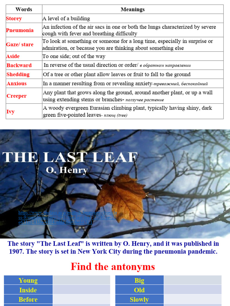 The Last Leaf | PDF | Organisms | Botany