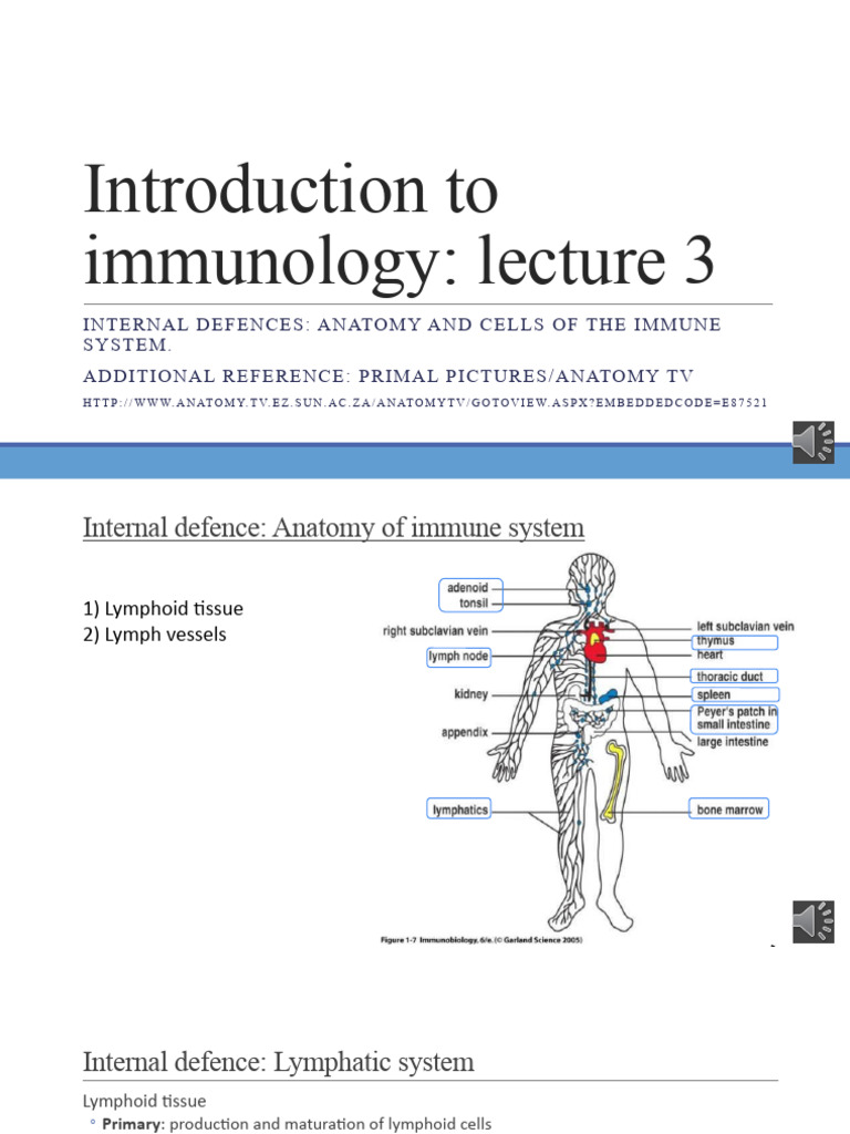 Intro Lecture1c Cells, Lymph | PDF | Lymphatic System | White Blood Cell