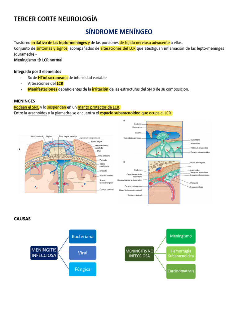 Síndrome Meníngeo: Signos y Causas | PDF | Meningitis | Sistema nervioso