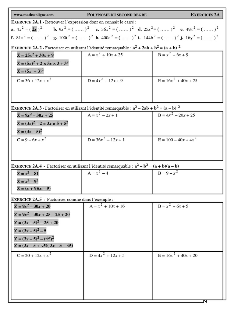 Chap 01 - Ex 2A - Factorisations - CORRIGE | PDF