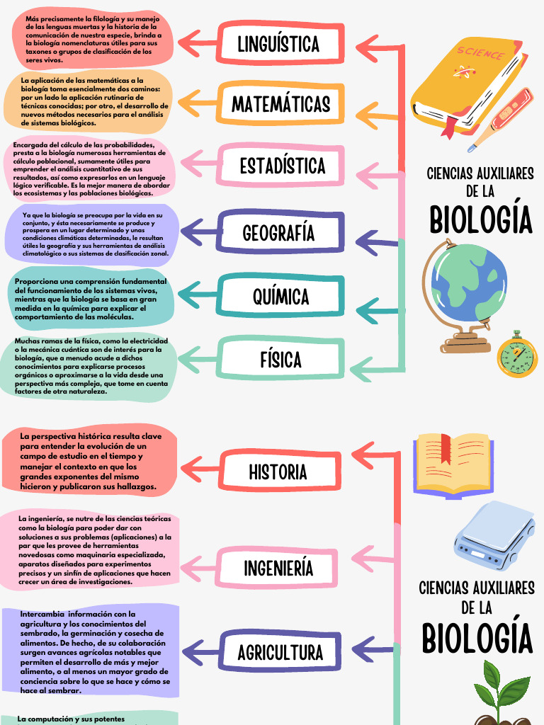 Ramas de la Biología y su Definición | PDF | Biología | Organismos