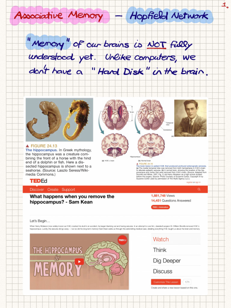 Neurophys 9 Associative Memory | PDF | Neuroscience | Cognitive Science