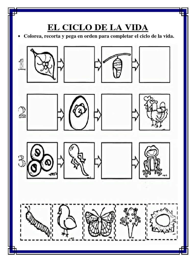 El Ciclo de La Vida | PDF | Artes del Lenguaje y Comunicación