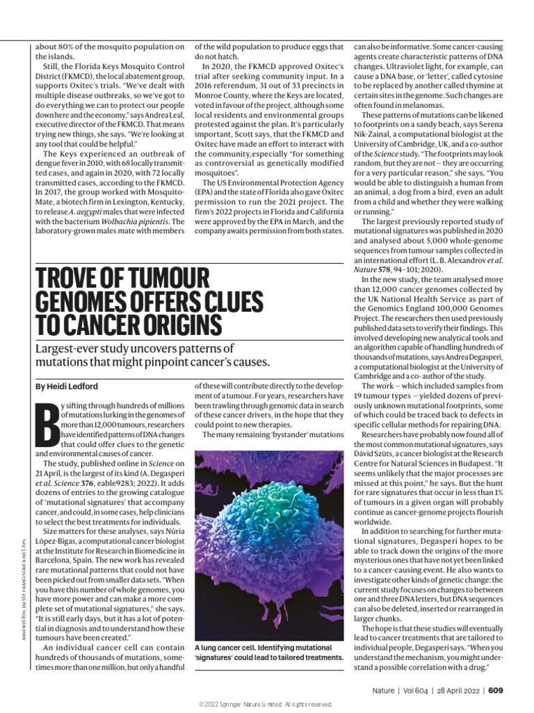 d41586-022-01095-2 CANCER | PDF | Mutation | Cancer