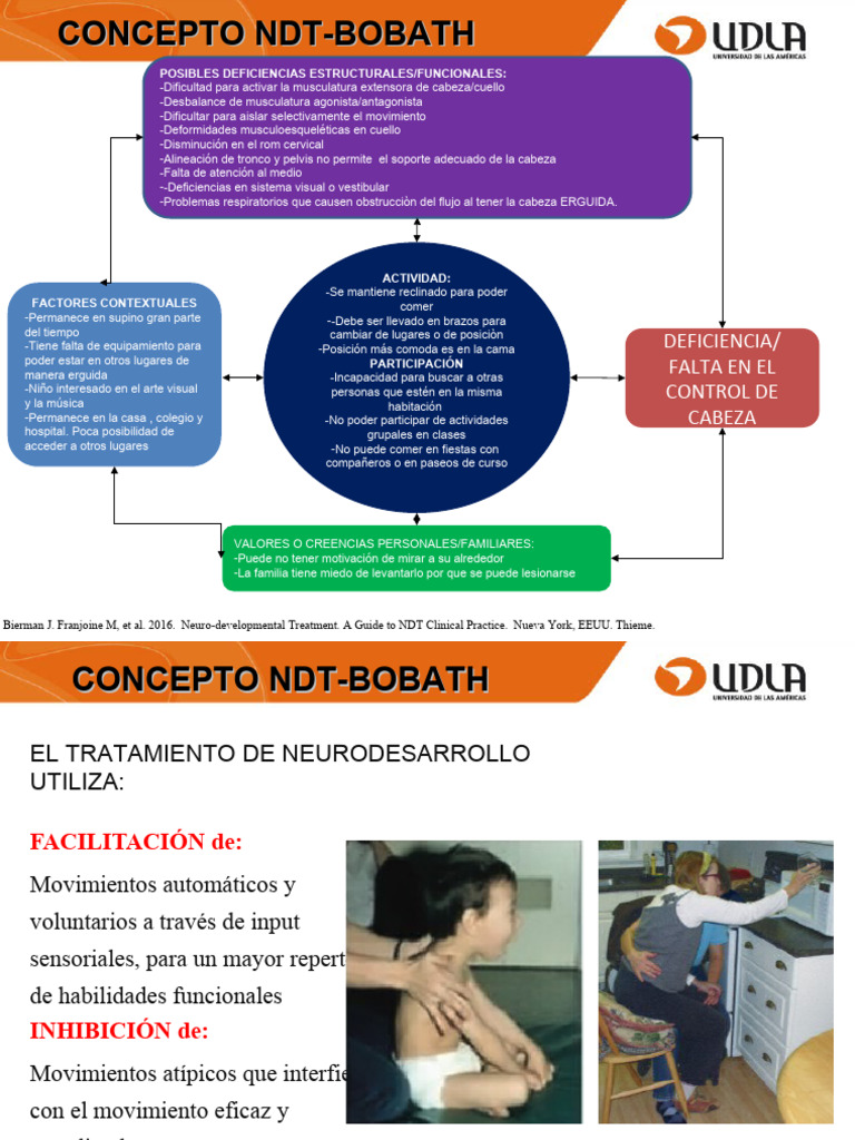 Clase 4 Terapia de Bobath | PDF | Enfermedades y trastornos | Medicina CLINICA