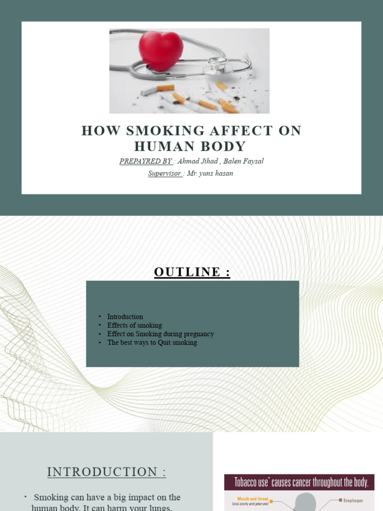 How Smoking Affect On Human Body | PDF | Chronic Obstructive Pulmonary ...