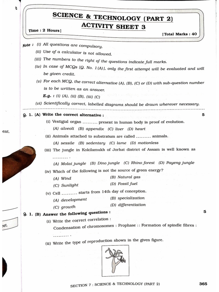 Science 2 Sheet 3 | PDF