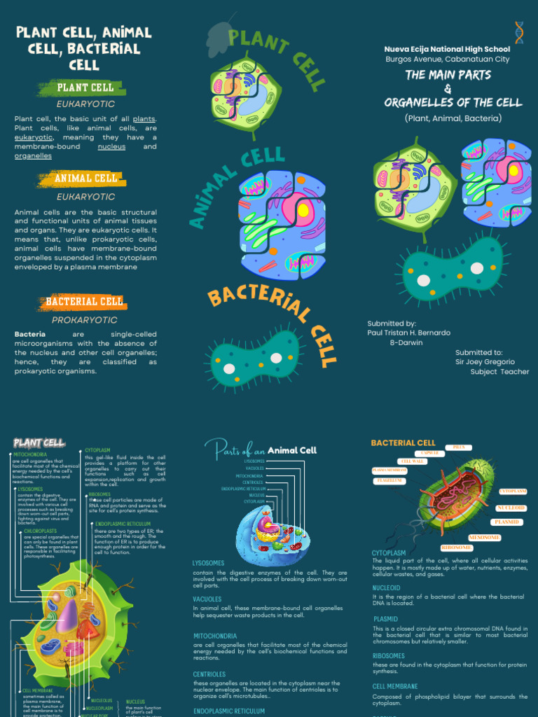 Cell Brochure Biotechnology | PDF