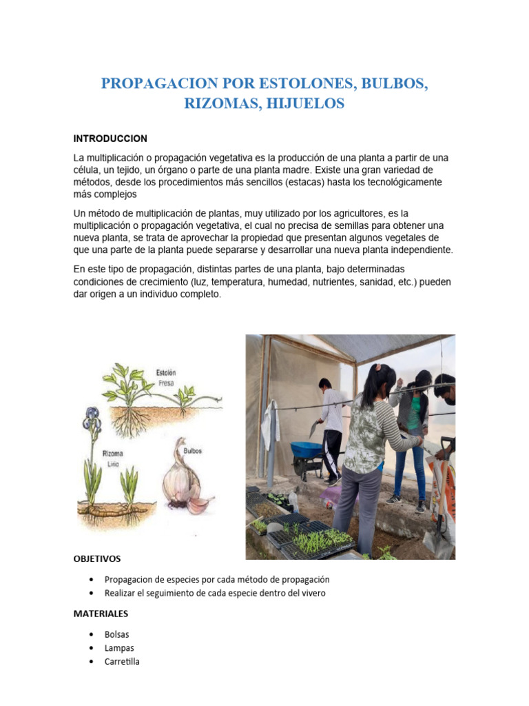 Propagacion Por Estolones | Descargar gratis PDF | Tallo de la planta ...