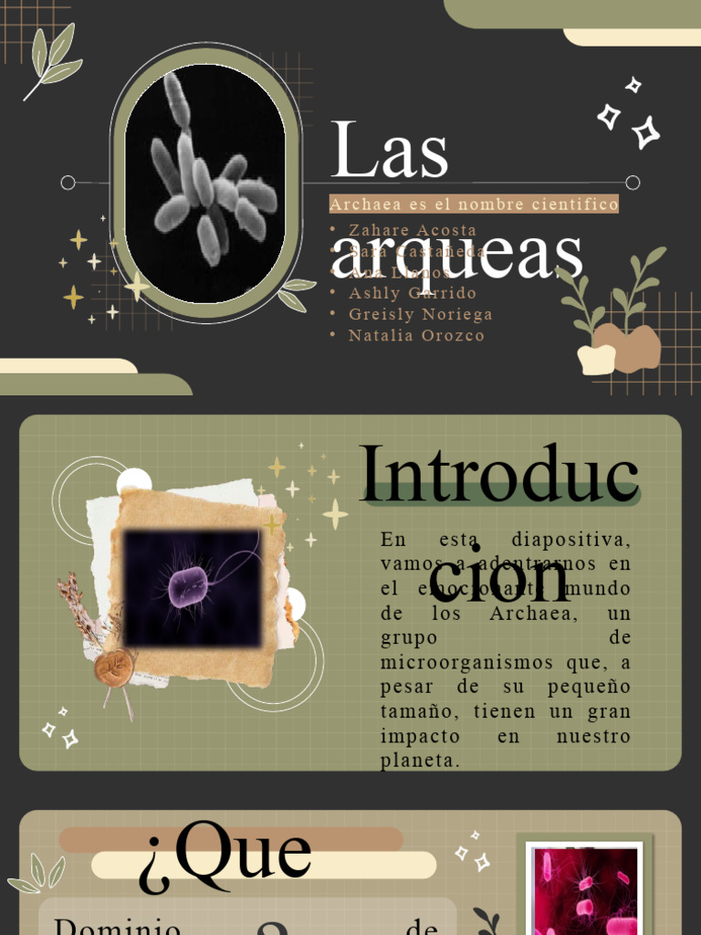 Introducción a las Arqueas | PDF | Archaea | Las bacterias