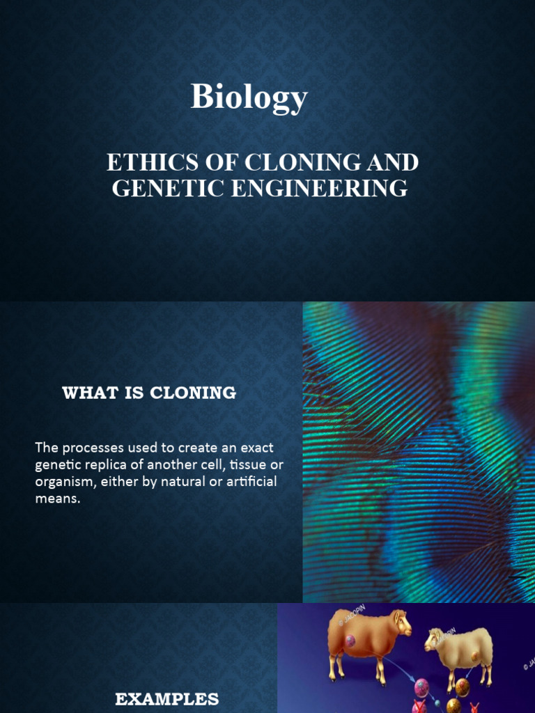 Biology Presentation | PDF | Genetic Engineering | Cloning