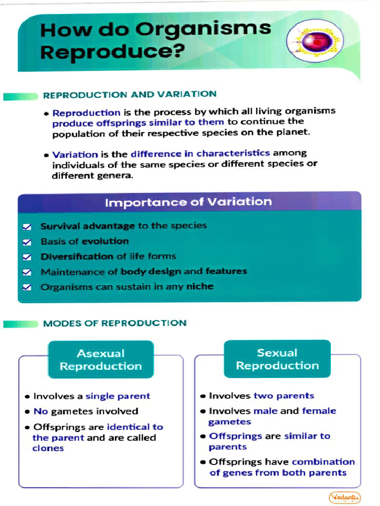 Reproduction | PDF