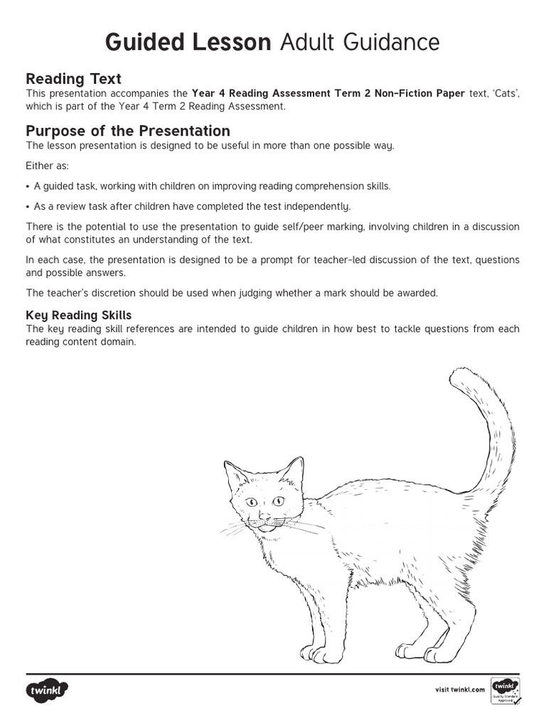 Guided Lesson Adult Guidence | PDF