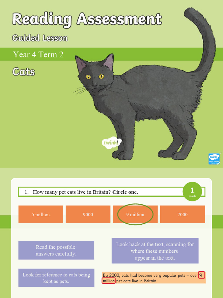 Reading Assessment Non-Fiction Presentation | PDF | Cats | Body Language