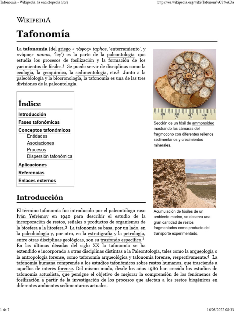 Tafonomía - Wikipedia, La Enciclopedia Libre | PDF | Paleontología ...