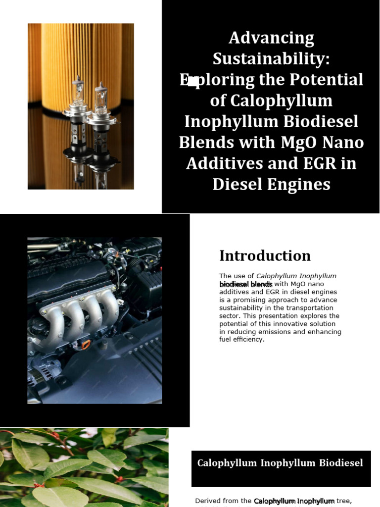 Calophyllum Biodiesel: Sustainable Diesel Solution | PDF | Biodiesel ...
