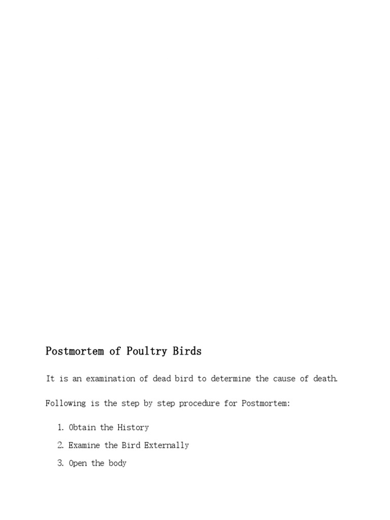 Postmortem of Poultry Birds | PDF | Birds | Autopsy