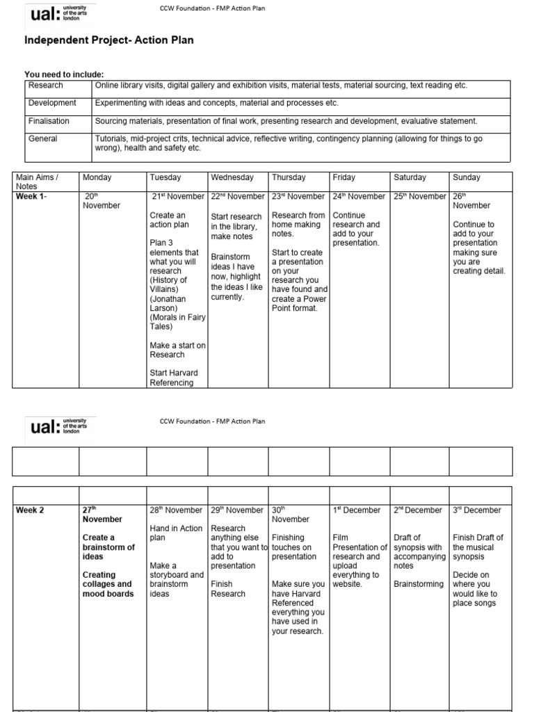 Independent Project Action Plan | PDF