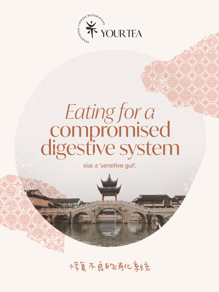 Eating For A Compromised Digestive System | PDF | Traditional Chinese ...