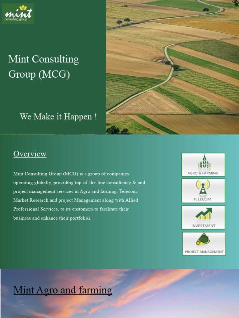 Mint Consulting Group (MCG) | PDF | Rice | Agriculture