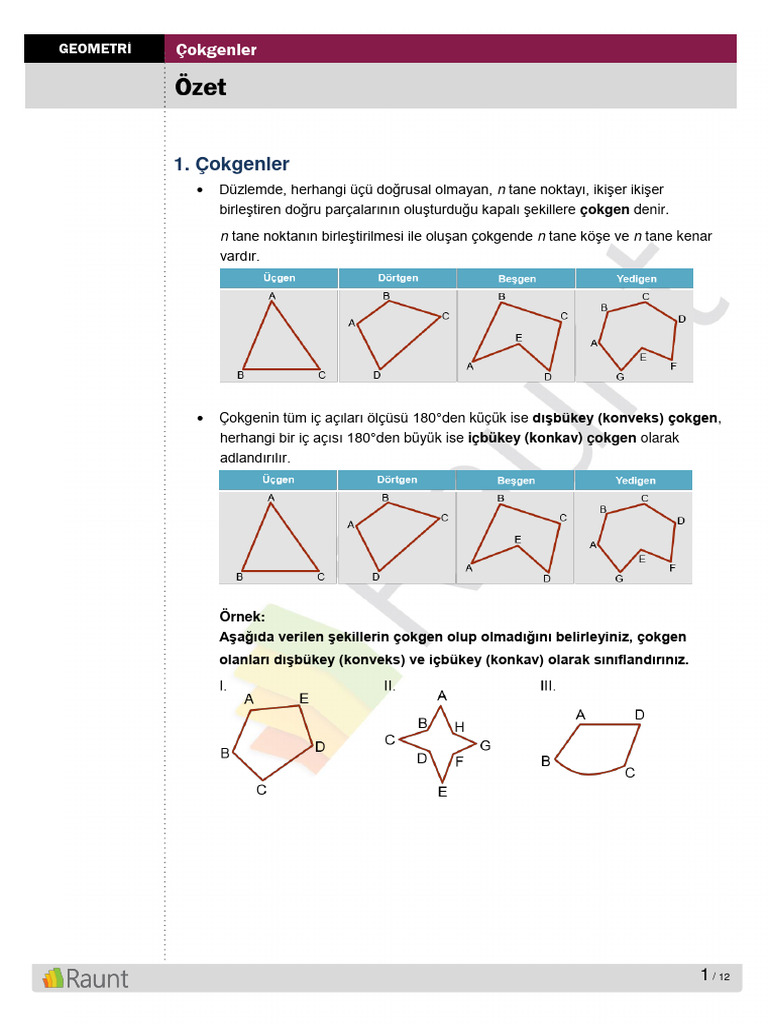 Cokgenler Ozet Raunt | PDF