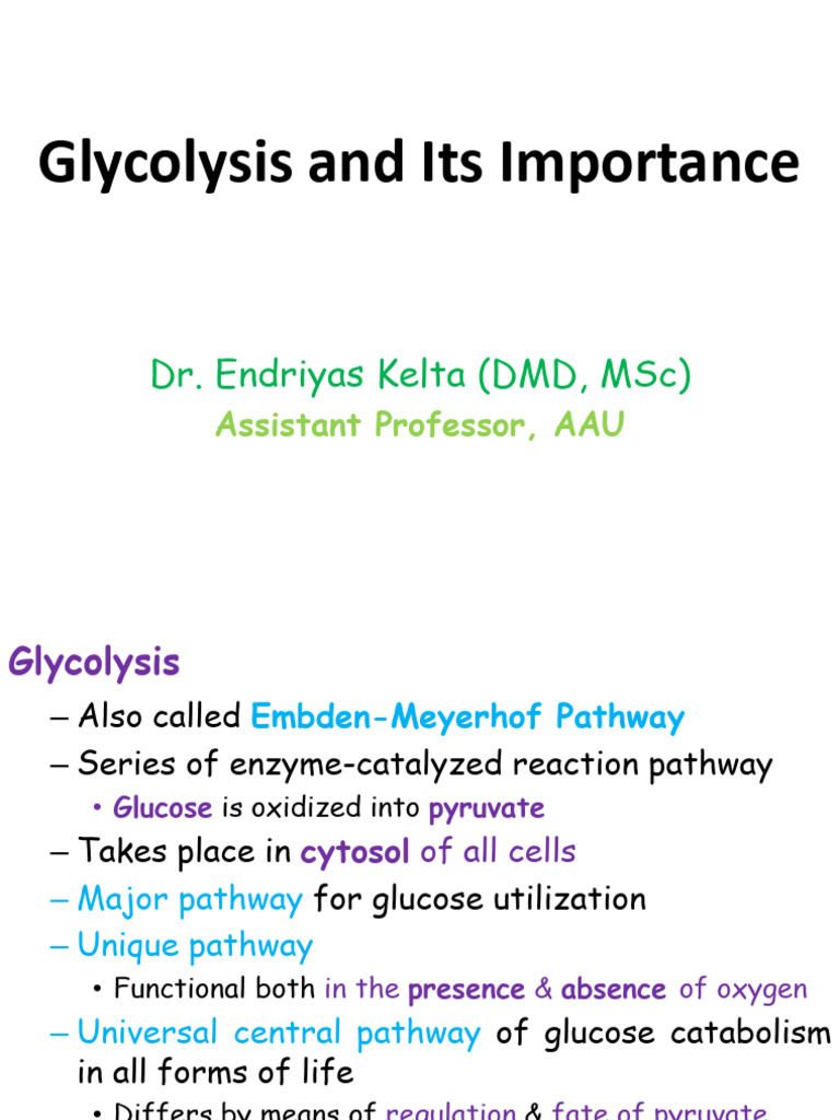 Lecture-2 On CHO Metabolism | PDF | Glycolysis | Phosphorylation