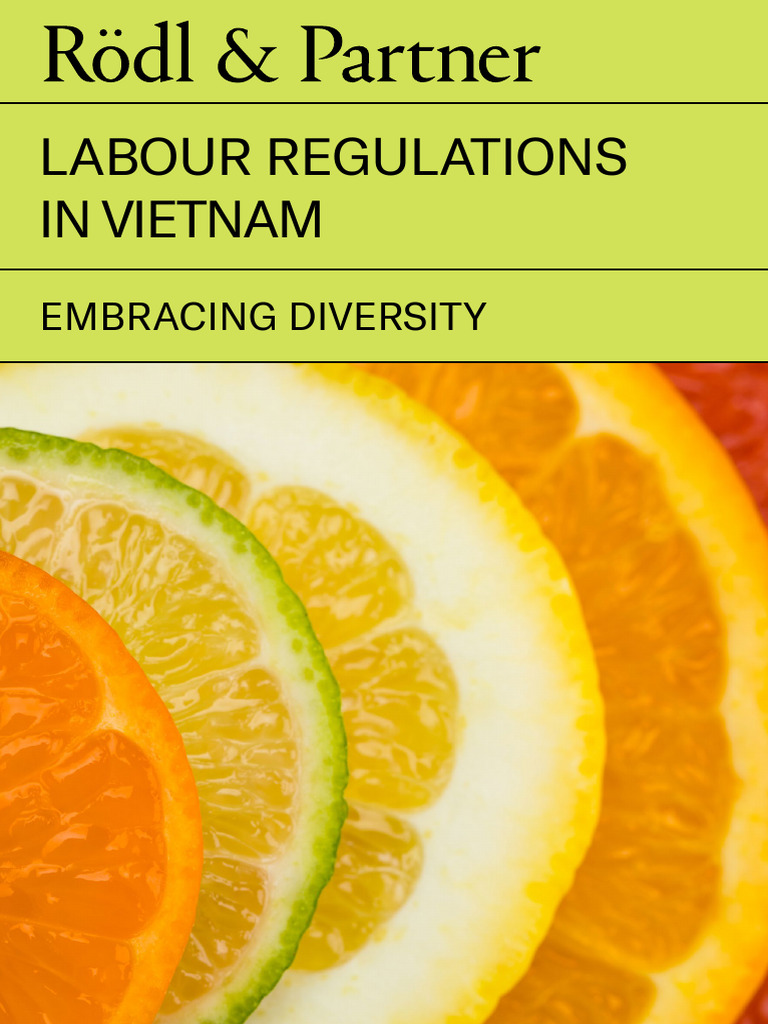 Brochure Labour Law In Vietnam Roedl Partner Pdf Labour Law