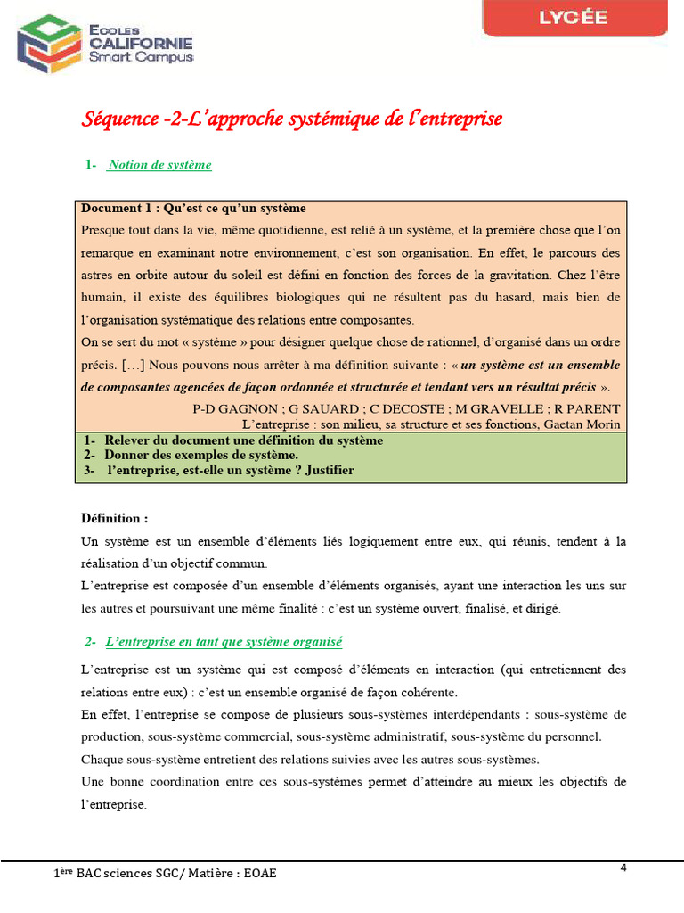 Approche systémique de l'entreprise | PDF | Business | État