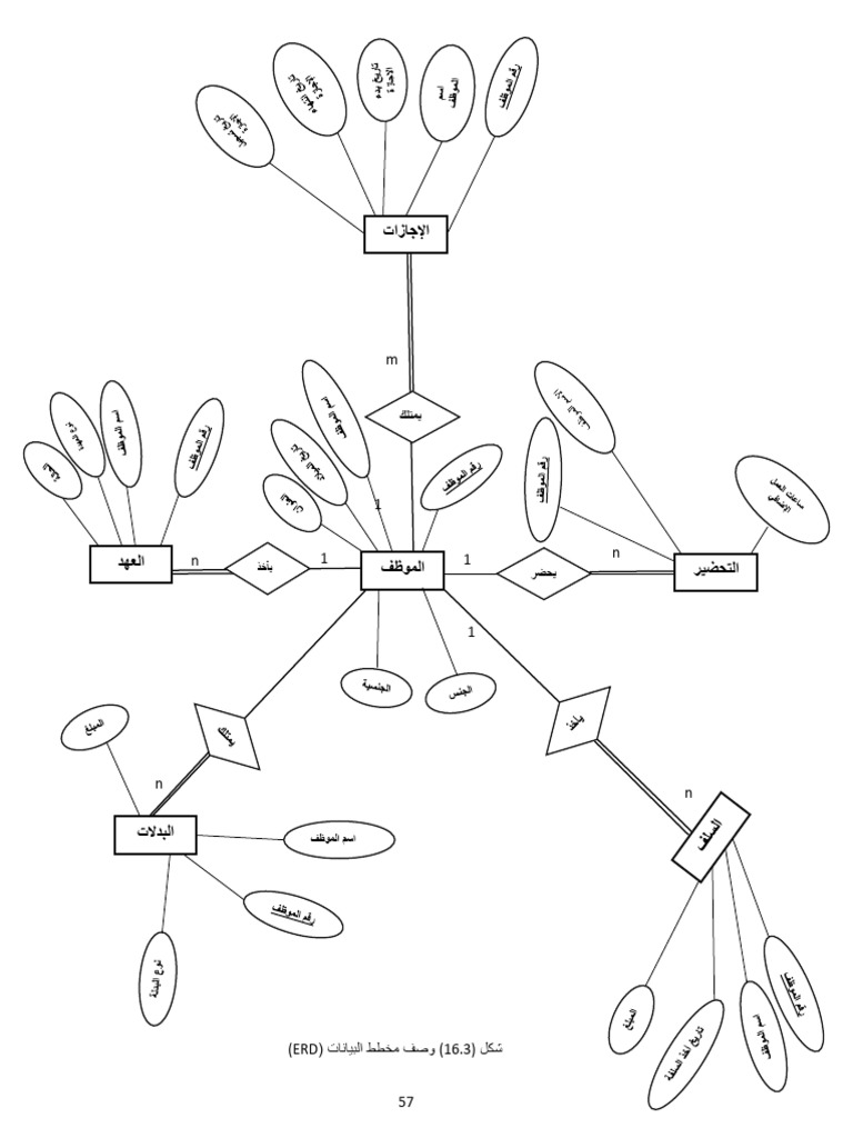 ERD شؤون human resources | PDF