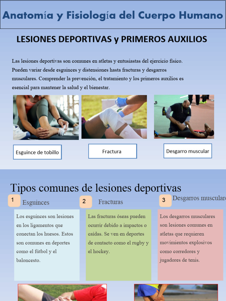 Lesiones Deportivas | PDF | Herida | Músculo esquelético