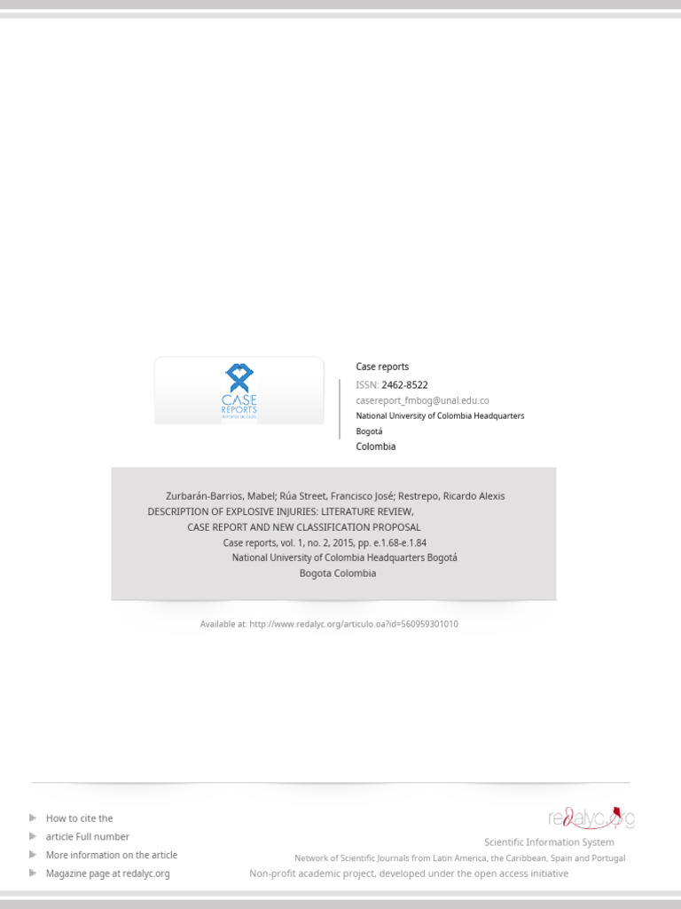 Description of Explosive | PDF | Injury | Bomb