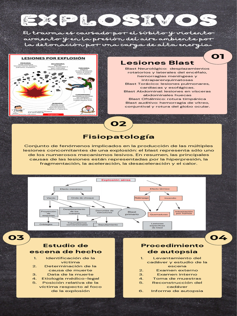 Infografía Explosiones | PDF